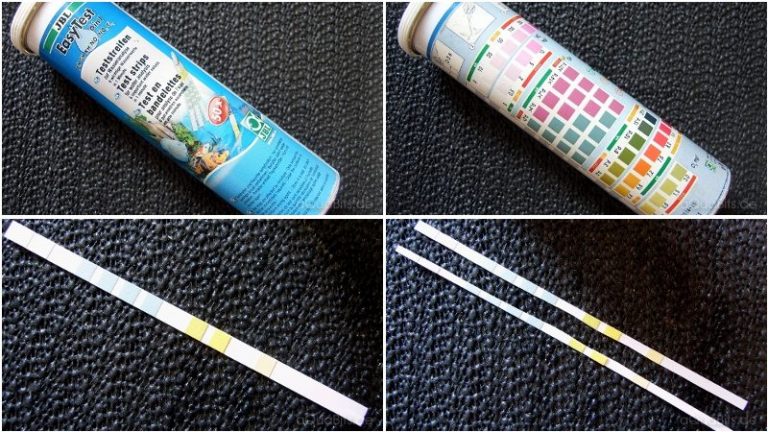 Wassertest im Aquarium mit Teststreifen | Aquabits.de